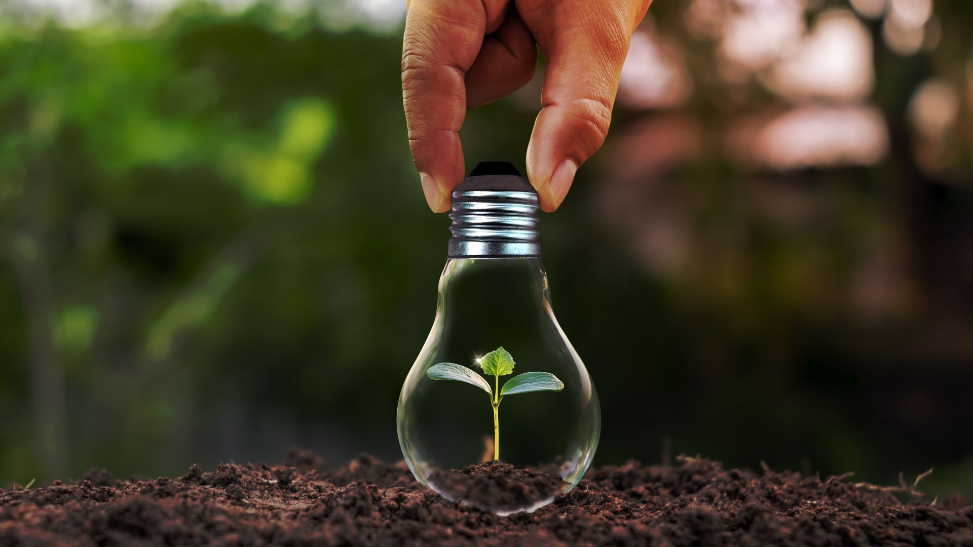 M'illumino di meno: la giornata nazionale per il risparmio energetico ...